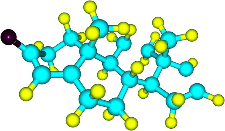 How Do Pheromones Work In The Body? | Phero Planet